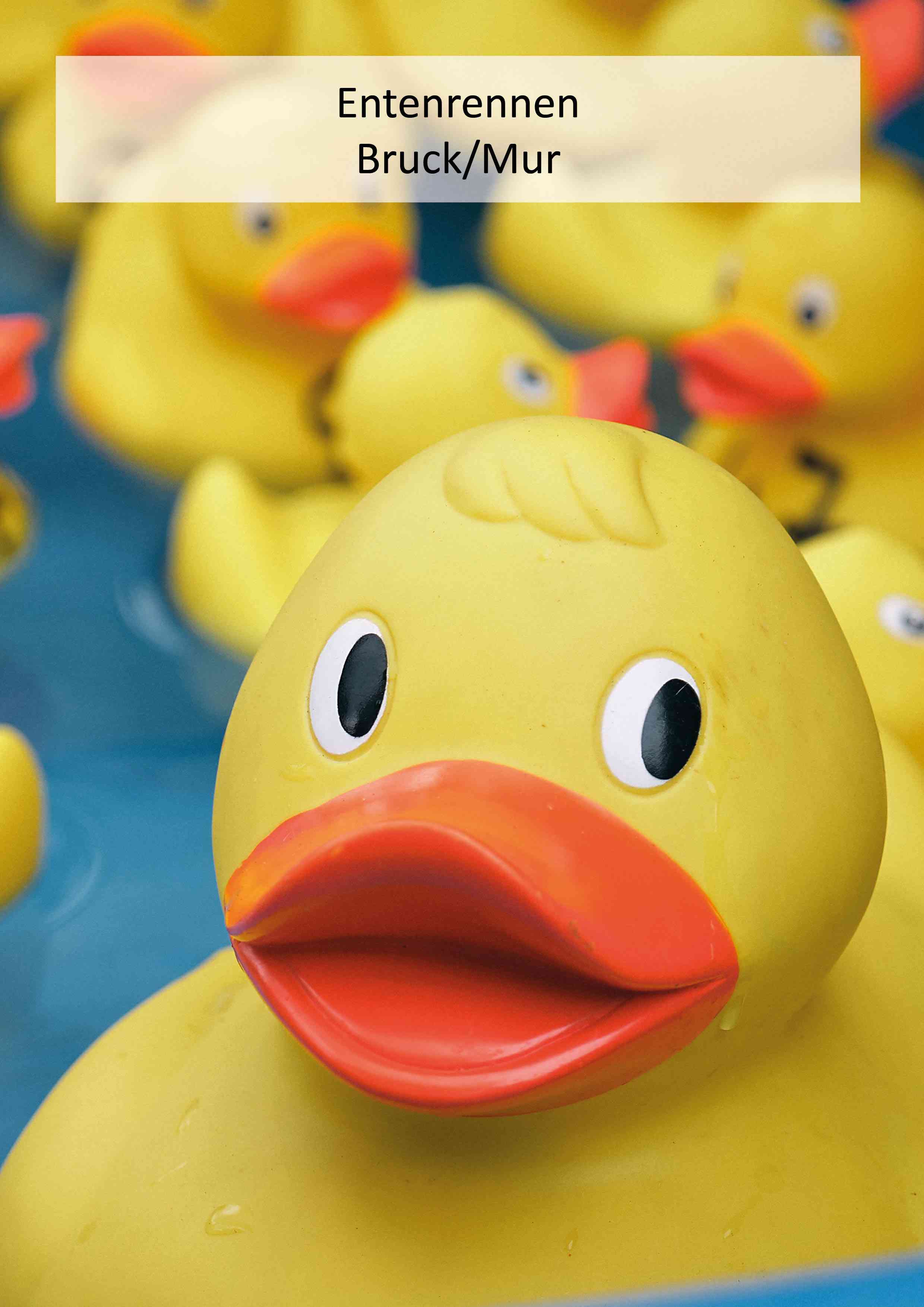 Beiträge – MemaTV